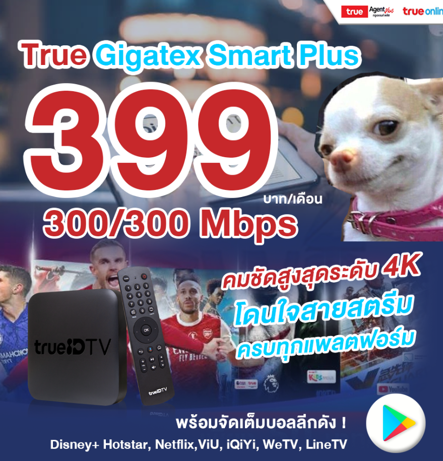True Gigatex Smart Plus เน็ตแรง 300/300 พร้อมดูหนังและสตรีมมิ่งแอปดัง Disney+ Hotstar, Netflix ...